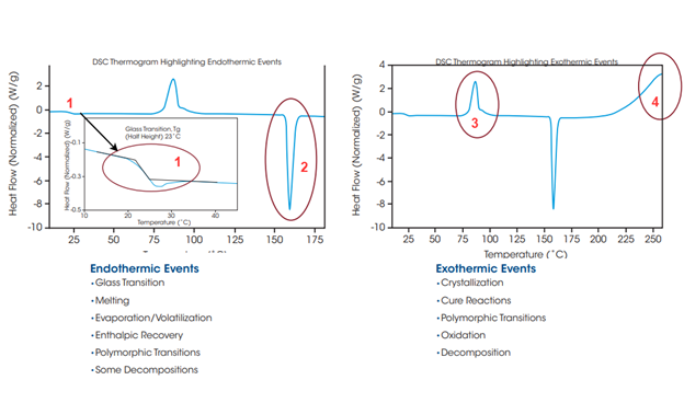 Differential scanning calorimetry (DSC) - A192 - CKN Knowledge in ...